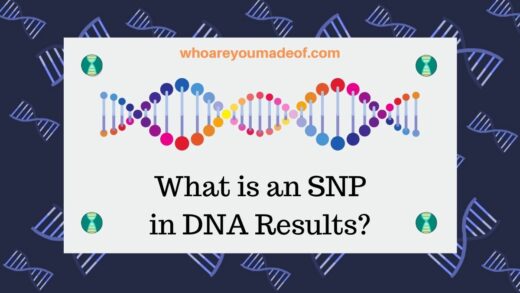 What is an SNP in DNA Results? - Who are You Made Of?