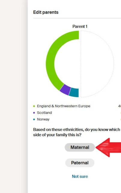 Ancestry SideView Ethnicity Inheritance: Understand Your Results - Who ...