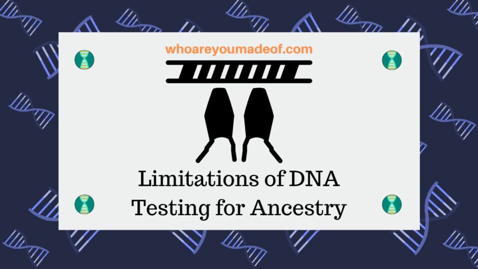 How to Understand Your Ancestry DNA Results - Who are You Made Of?