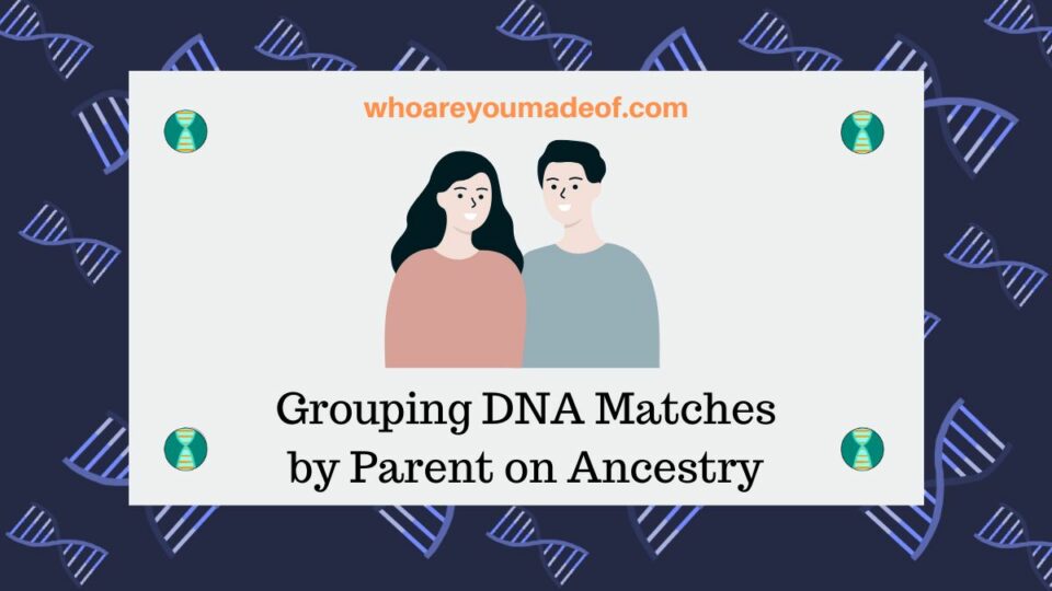 Grouping DNA Matches by Parent on Ancestry - Who are You Made Of?