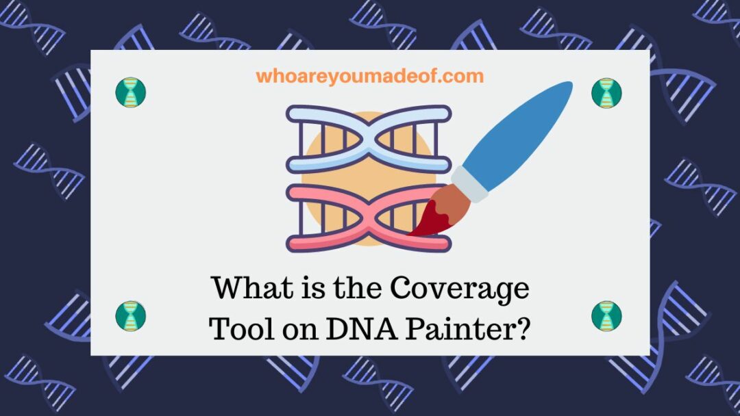 What is the Coverage Tool on DNA Painter? - Who are You Made Of?
