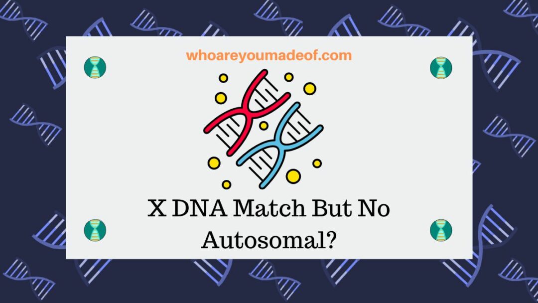 X DNA Match But No Autosomal? - Who are You Made Of?