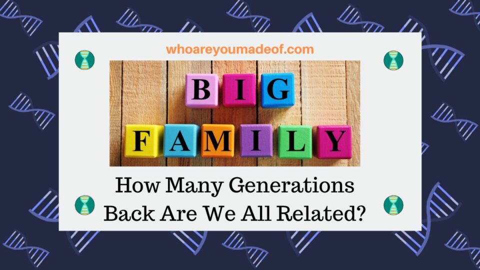 How Many Generations Back Are We All Related? - Who are You Made Of?