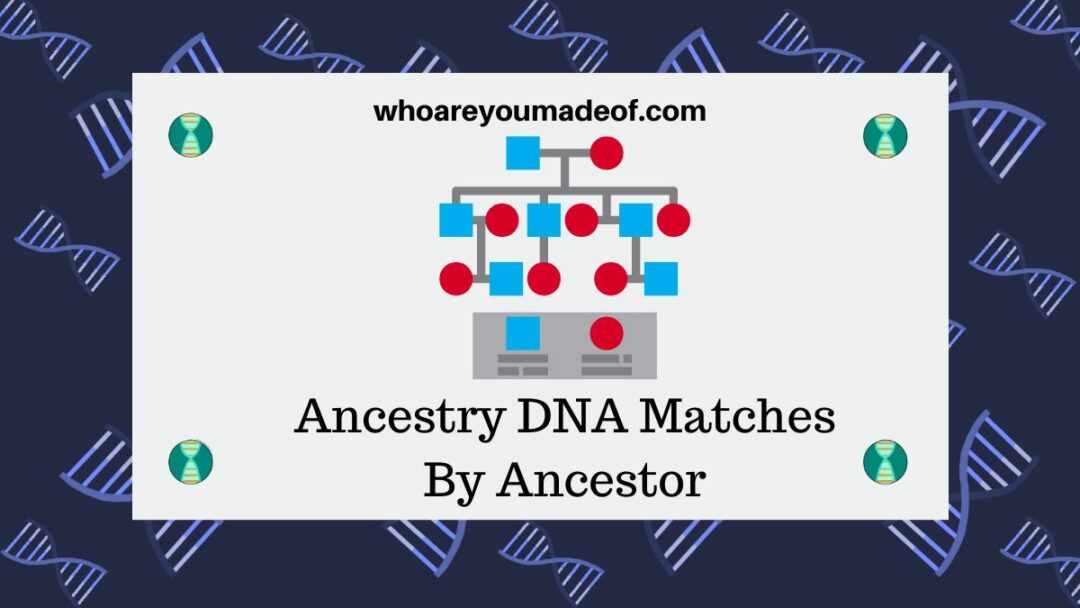 View Ancestry DNA Matches By Ancestor With ThruLines - Who are You Made Of?