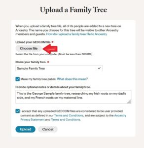 How to Upload Family Tree to Ancestry - Who are You Made Of?