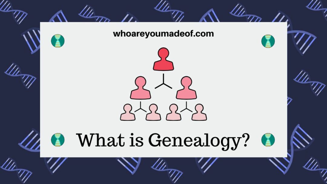 What is Genealogy? - Who are You Made Of?
