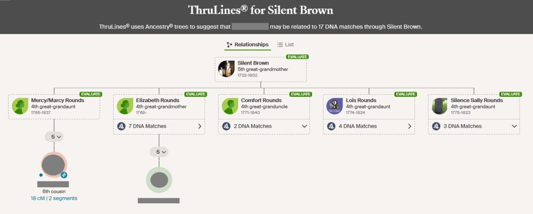 View Ancestry DNA Matches By Ancestor With ThruLines - Who are You Made Of?