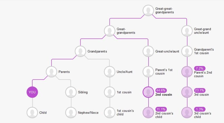 What is the cM Explainer on MyHeritage? - Who are You Made Of?