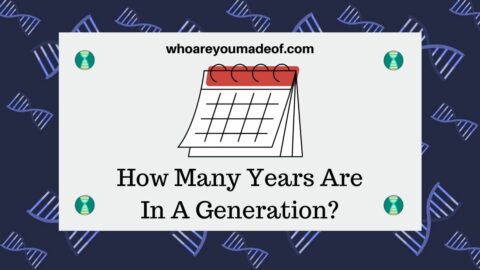 How Many Years Are In A Generation? - Who are You Made Of?