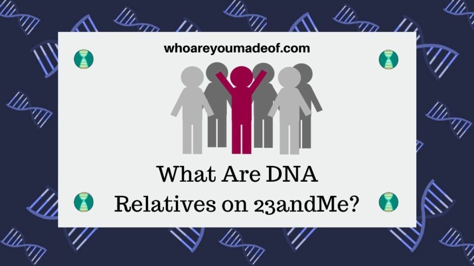 What Are DNA Relatives on 23andMe? - Who are You Made Of?