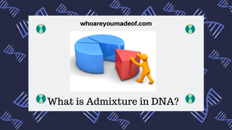 What is Admixture in DNA? - Who are You Made Of?