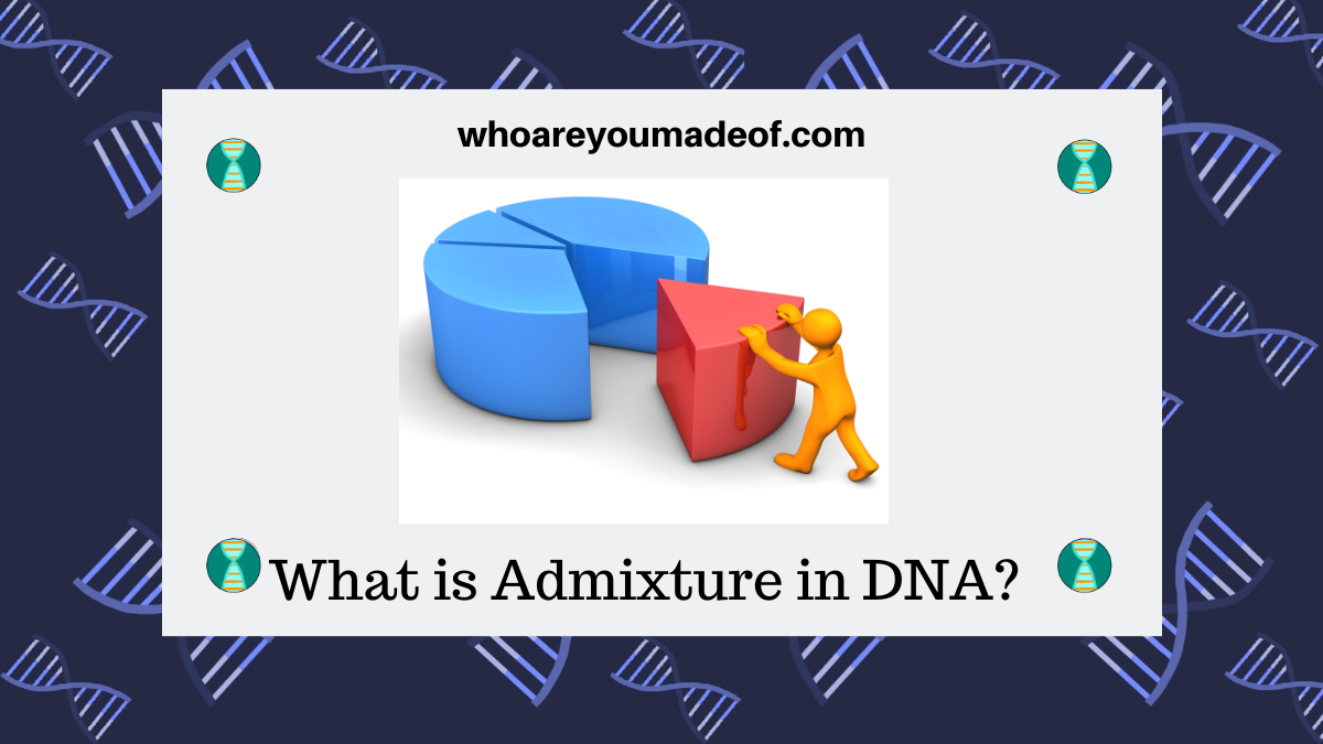What is Admixture in DNA? - Who are You Made Of?