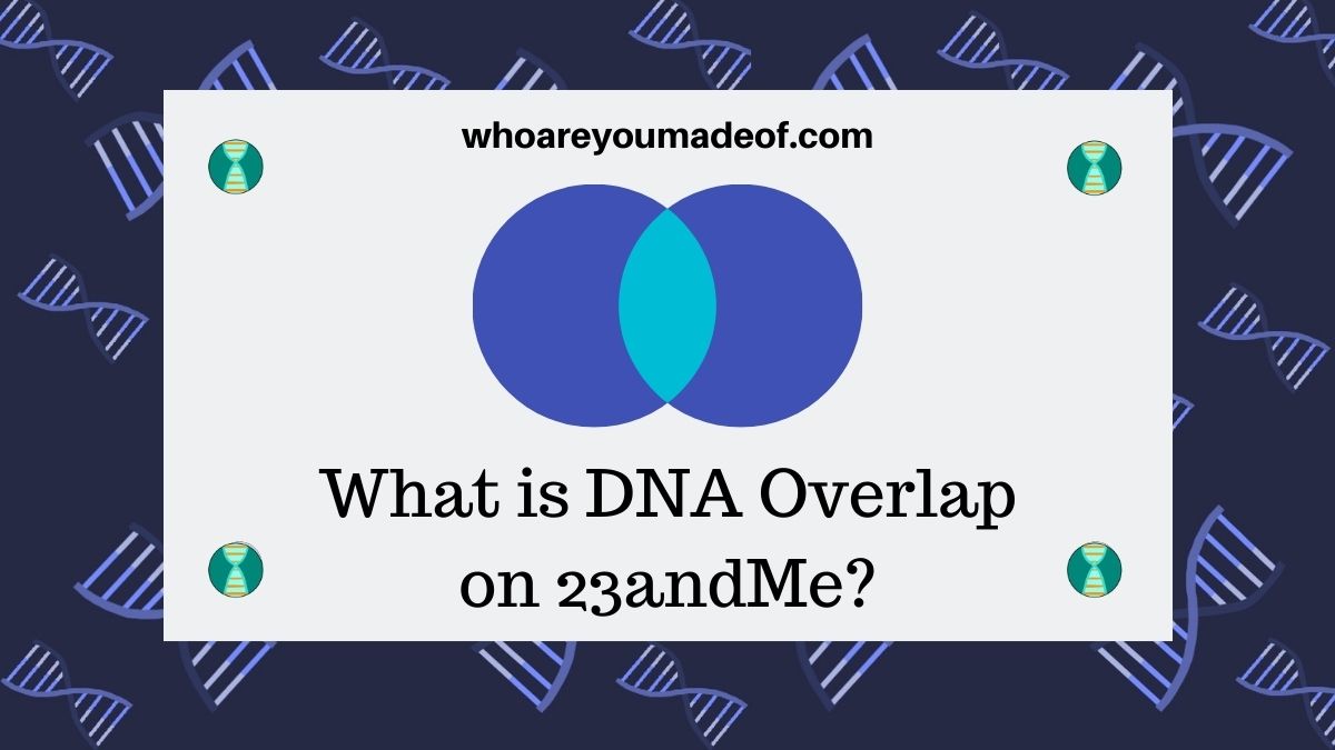 What is DNA Overlap on 23andMe? - Who are You Made Of?