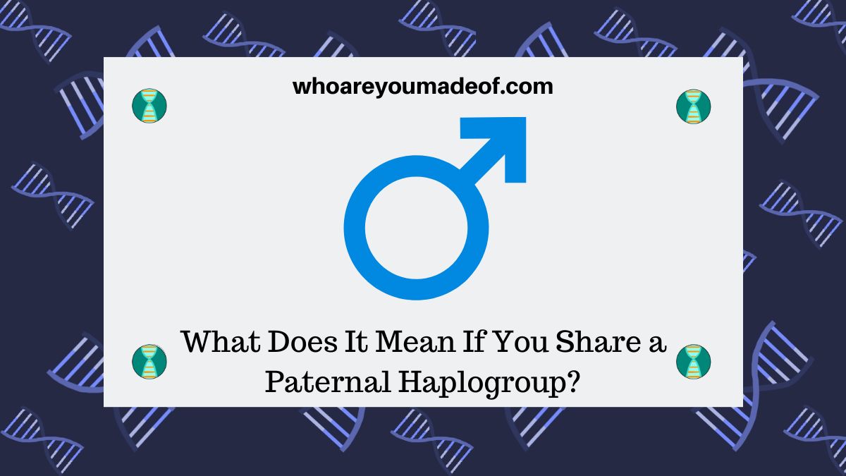 What Does It Mean If You Share a Paternal Haplogroup? - Who are You ...