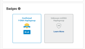 Y-DNA Included with FTDNA Family Finder Results - Who are You Made Of?