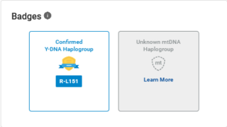 Y-DNA Included with FTDNA Family Finder Results - Who are You Made Of?