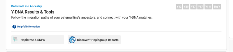 Y-DNA Included with FTDNA Family Finder Results - Who are You Made Of?