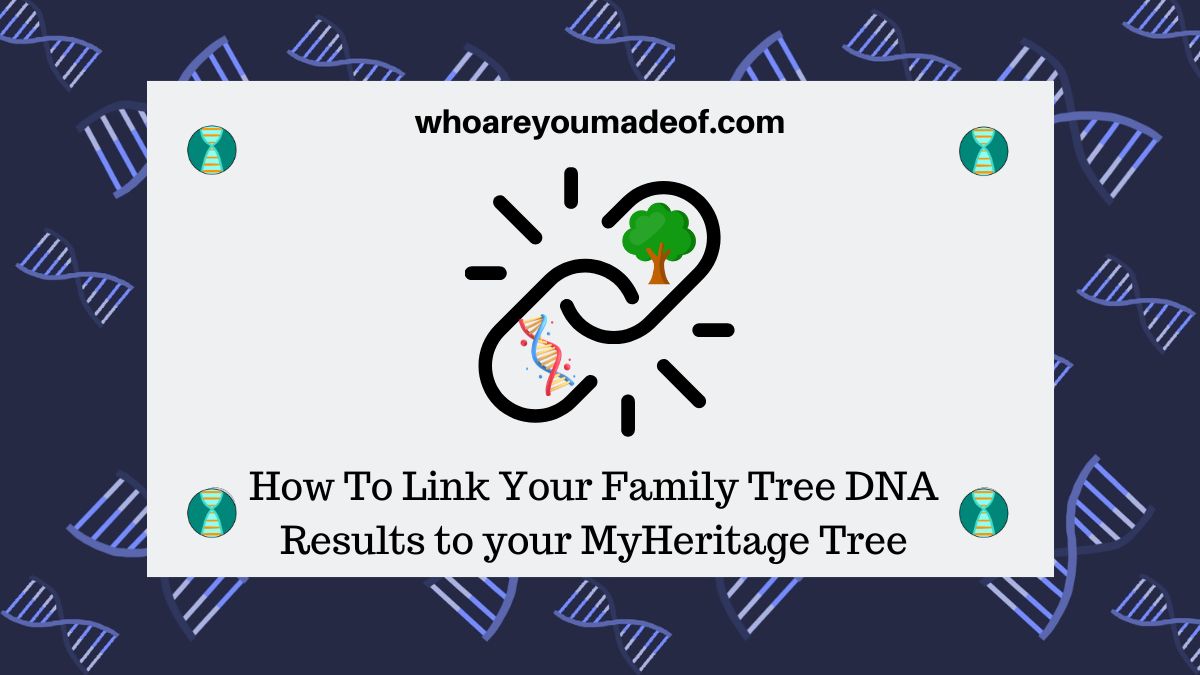 How To Link Your Family Tree DNA Results to your MyHeritage Tree - Who ...