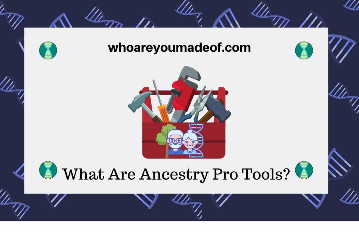 What Are Ancestry Pro Tools? - Who are You Made Of?