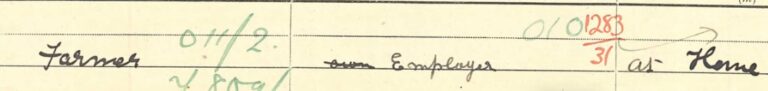 The 1921 Census of England and Wales on Ancestry: About the Collection ...
