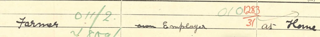 The 1921 Census of England and Wales on Ancestry: About the Collection ...