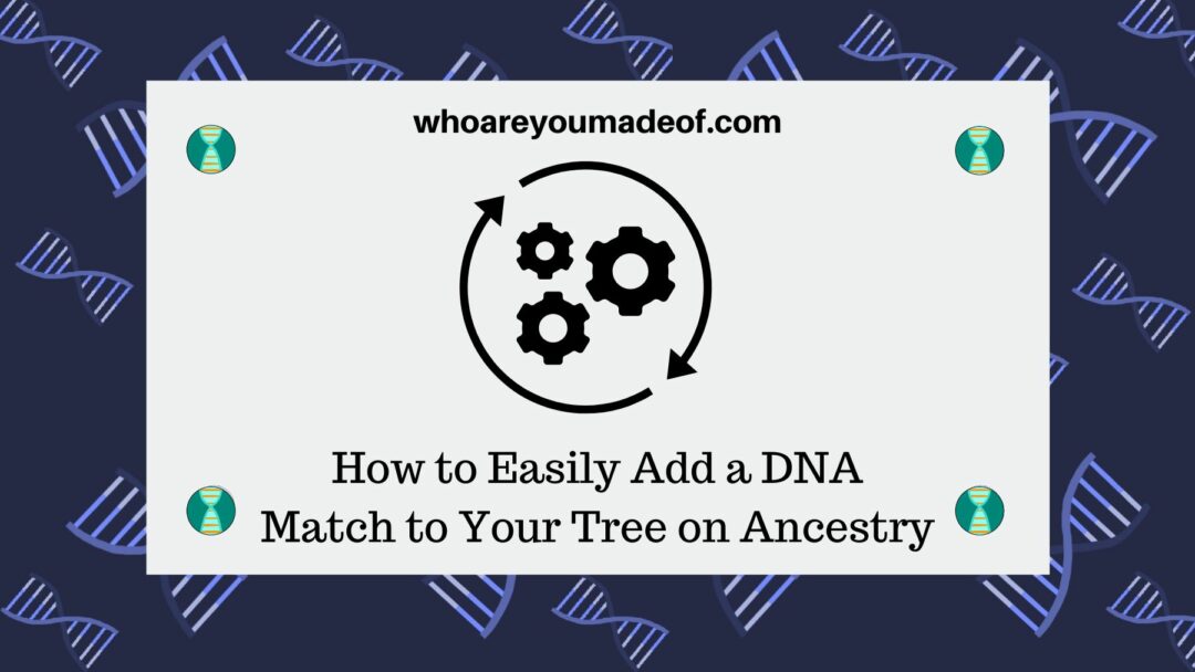 How to Easily Add a DNA Match to Your Tree on Ancestry - Who are You ...