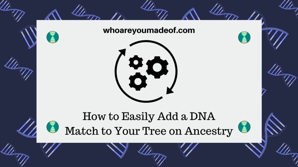 How to Easily Add a DNA Match to Your Tree on Ancestry - Who are You ...