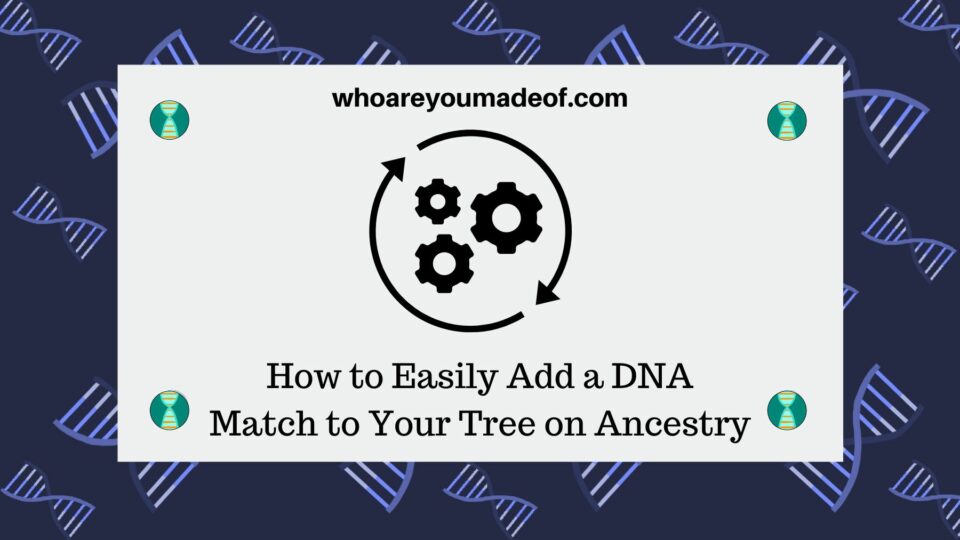 How to Easily Add a DNA Match to Your Tree on Ancestry - Who are You ...