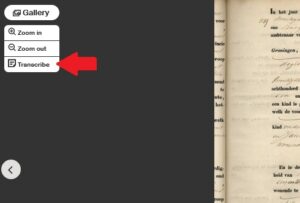 Ancestry AI Image Transcript Feature - How to Use - Who are You Made Of?