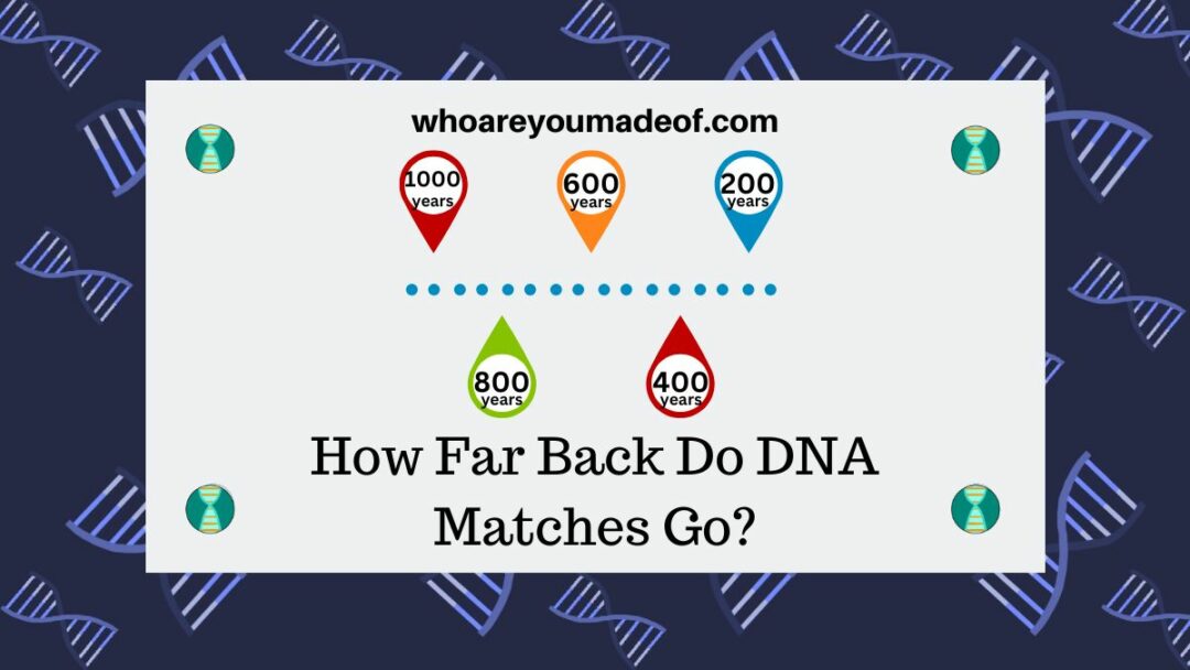 How Far Back Do DNA Matches Go? - Who are You Made Of?