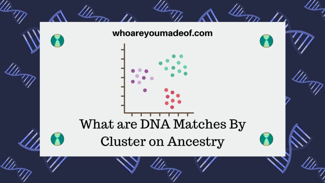 What are DNA Matches By Cluster on Ancestry - Who are You Made Of?