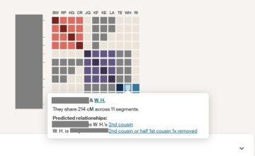 What are DNA Matches By Cluster on Ancestry - Who are You Made Of?