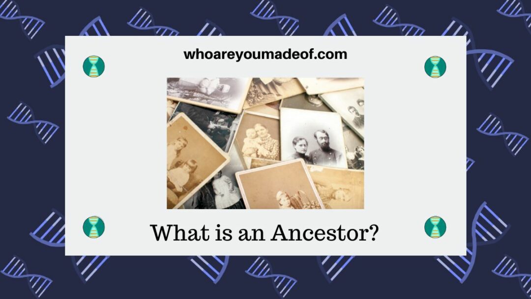 What is an Ancestor? - Who are You Made Of?